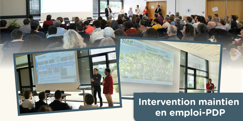 Journée autour du Maintien en emploi - 30 mars 2023 - Cap emploi 56
